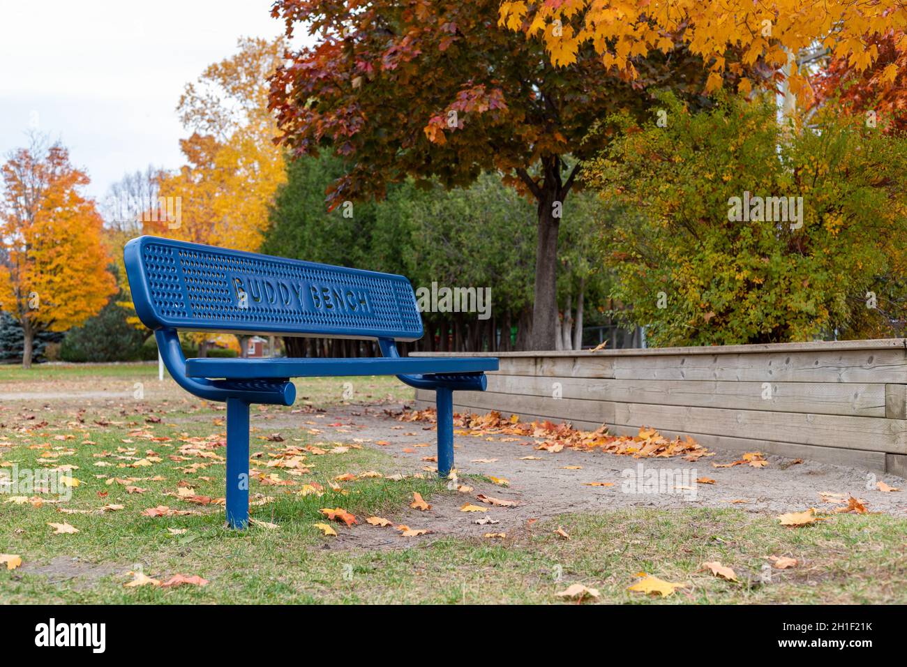 Blue buddy bench in local public park near school in fall. Autumn trees ...