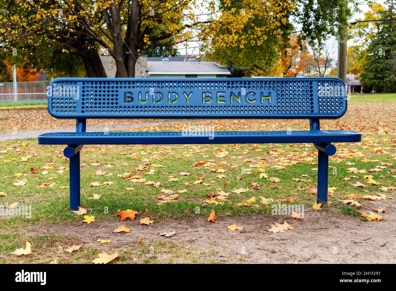 Blue buddy bench in local public park near school in fall. Autumn trees ...