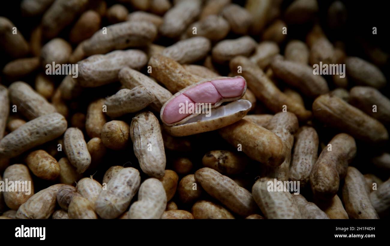salvador, bahia / brazil - may 28, 2020: peanuts are seen in the city ...