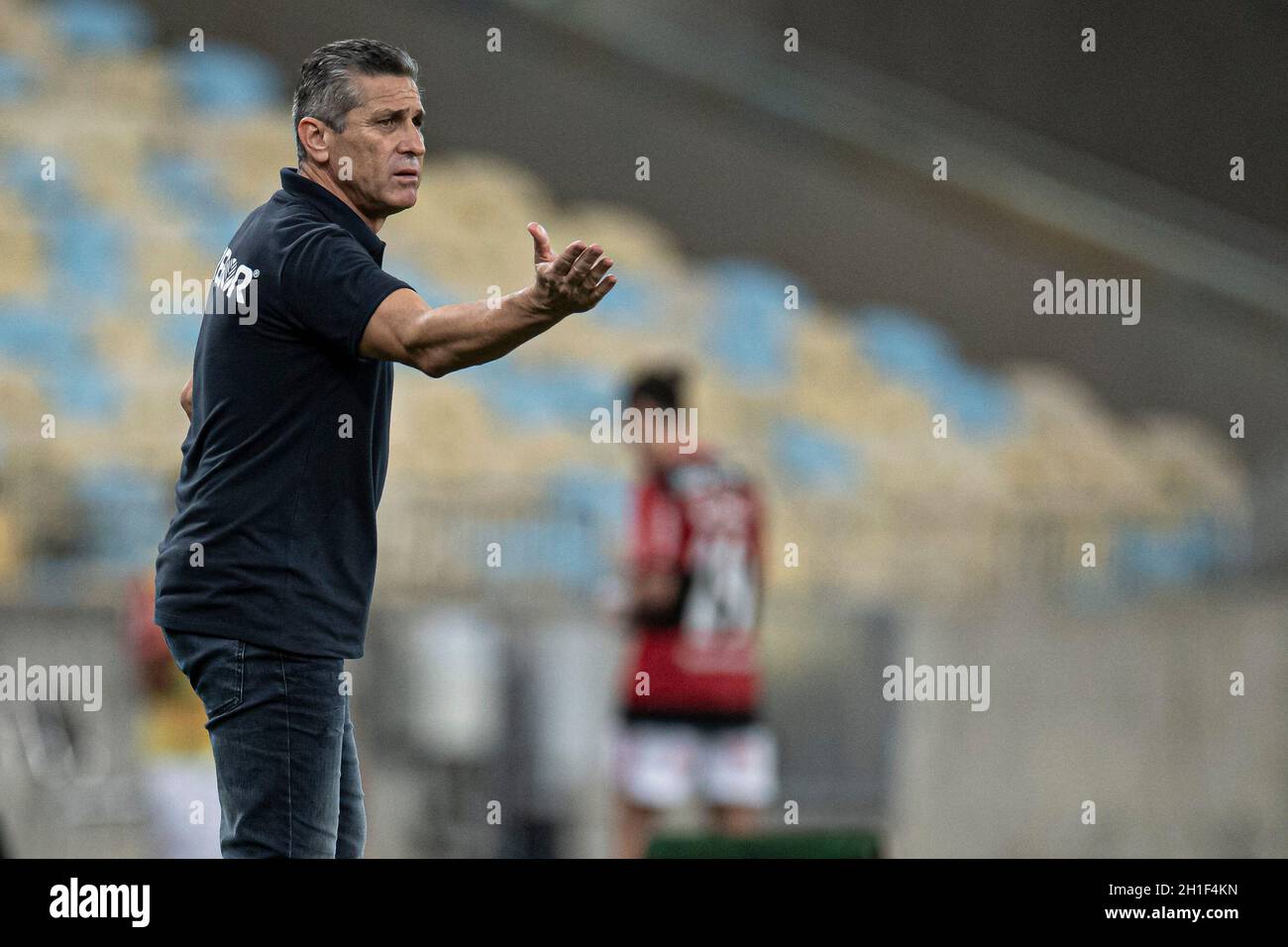 Jorginho Brazil High Resolution Stock Photography and Images - Alamy