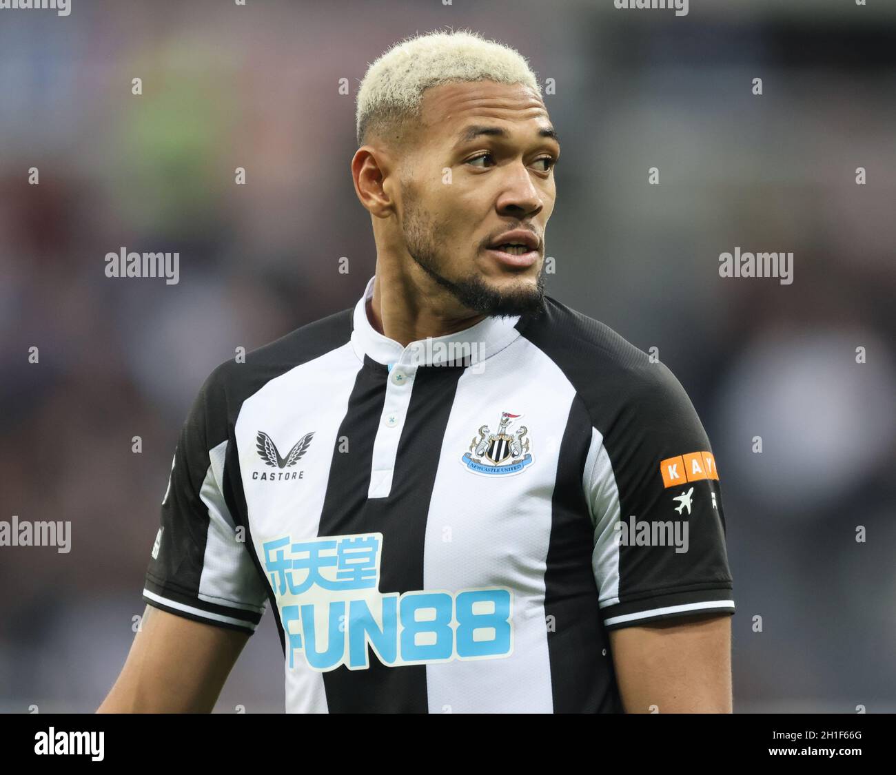 Of newcastle united hi-res stock photography and images - Alamy