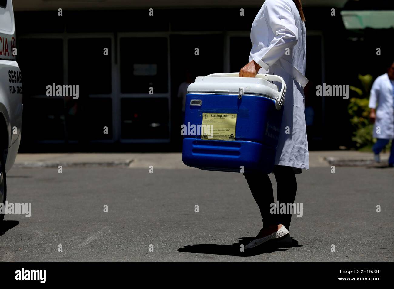Human organ box hi-res stock photography and images - Alamy
