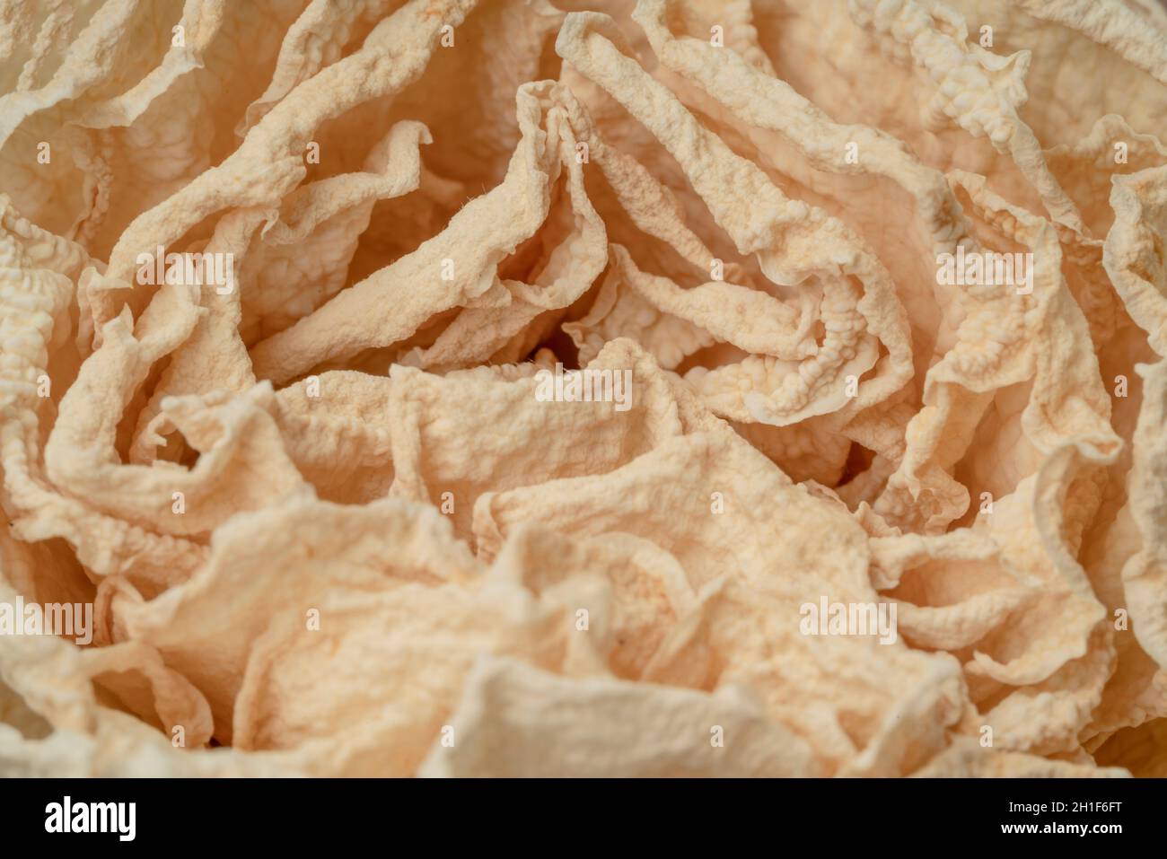 natural textured background with closeup dried rose flower with ...
