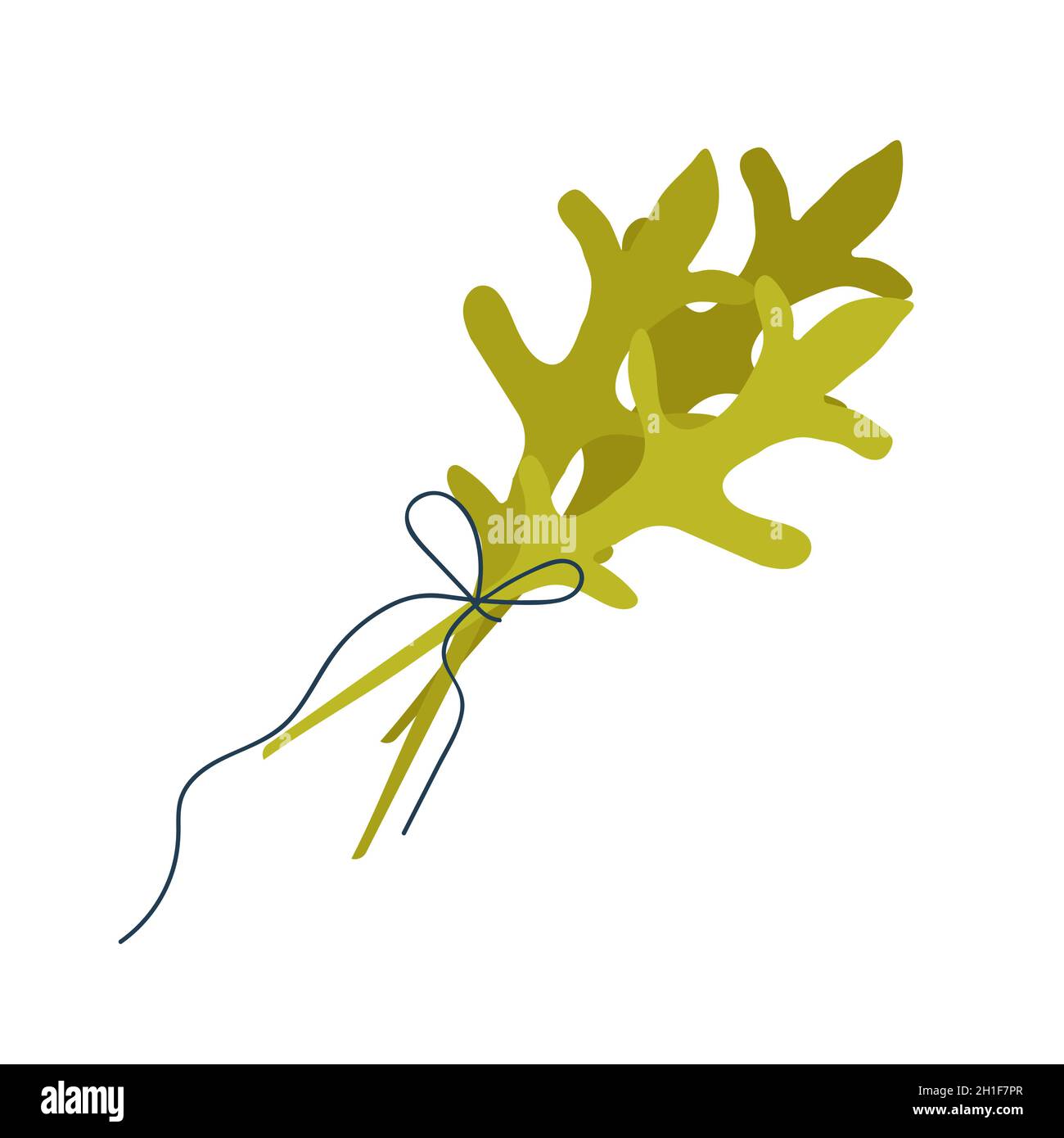 Arugula for vegetable salad, fresh product, organic farm food ...