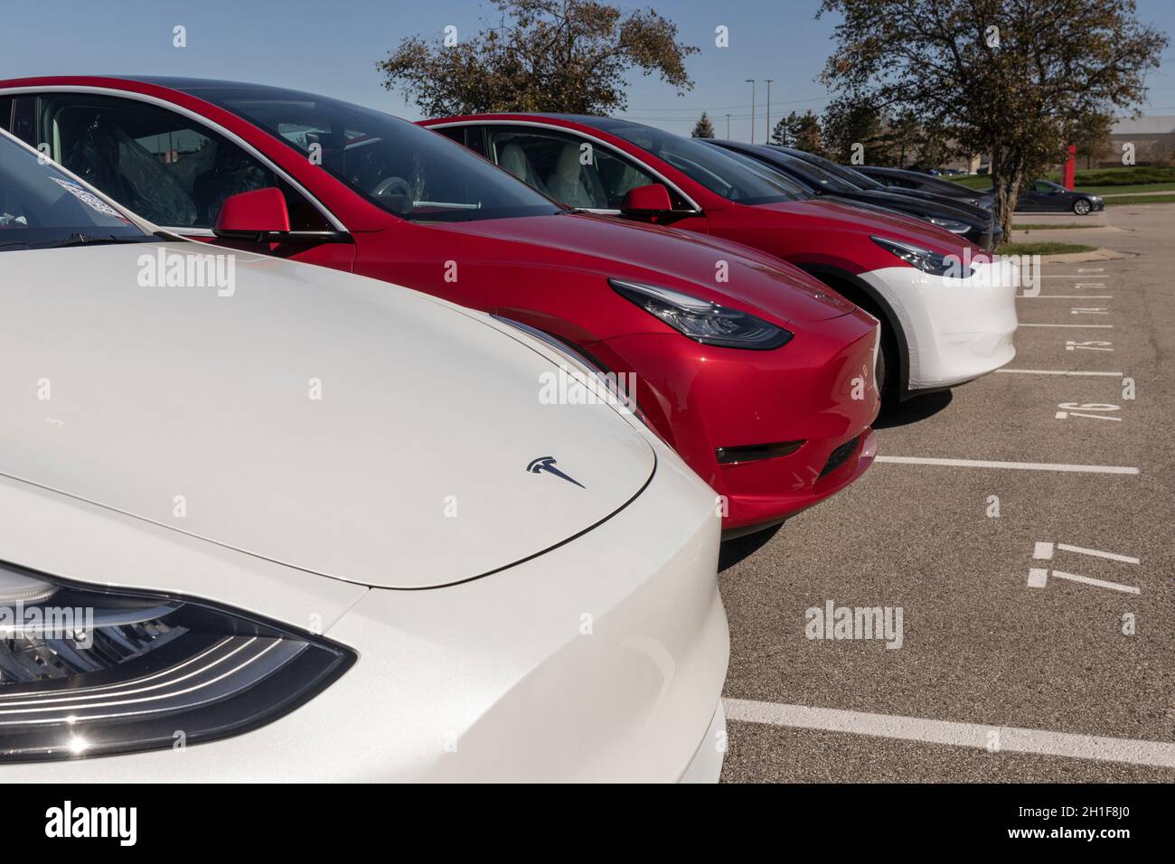 Indianapolis - Circa October 2021: Tesla EV electric vehicles on ...