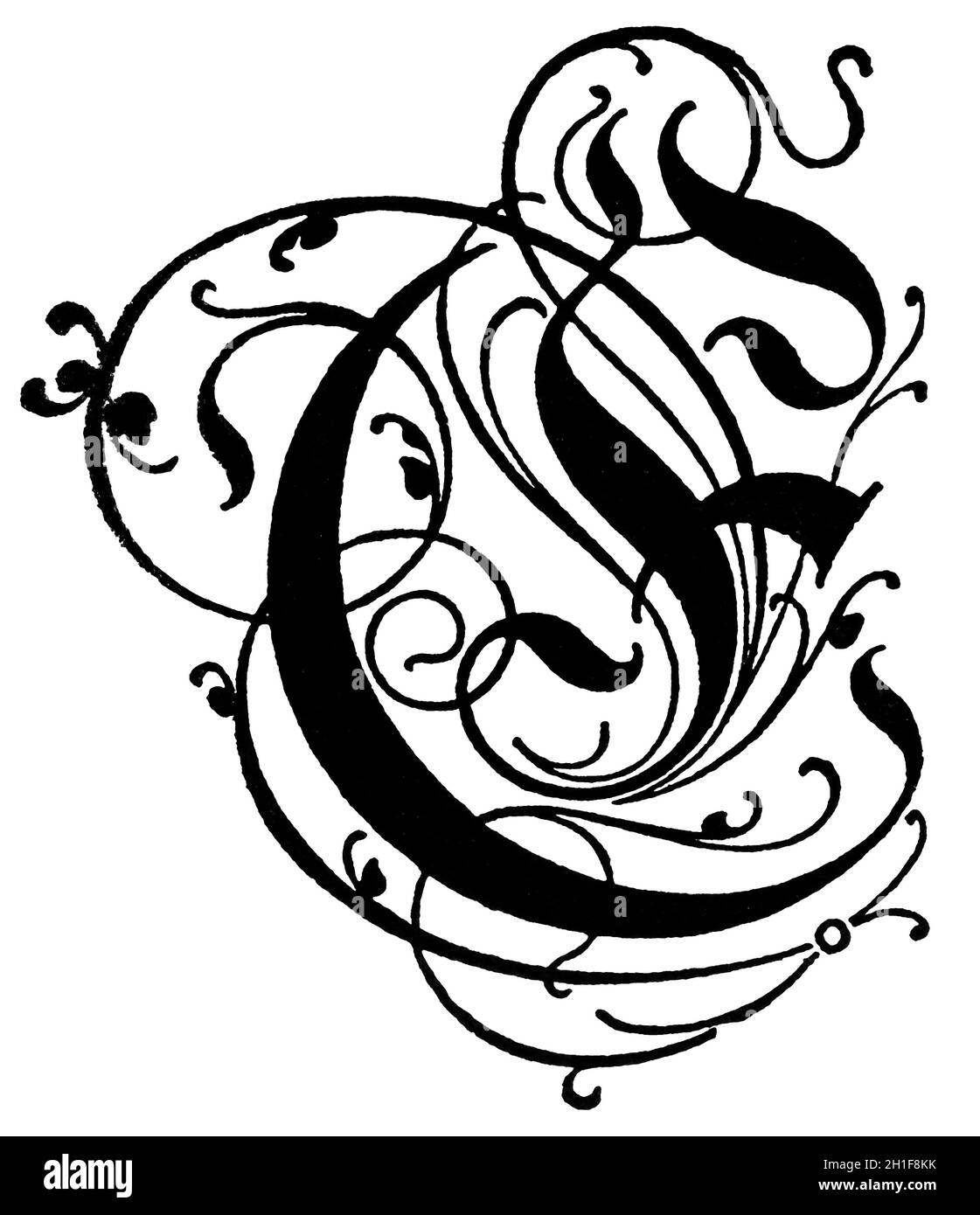 Capitalized letter E, stylized in floral ornament. Illustration of the ...