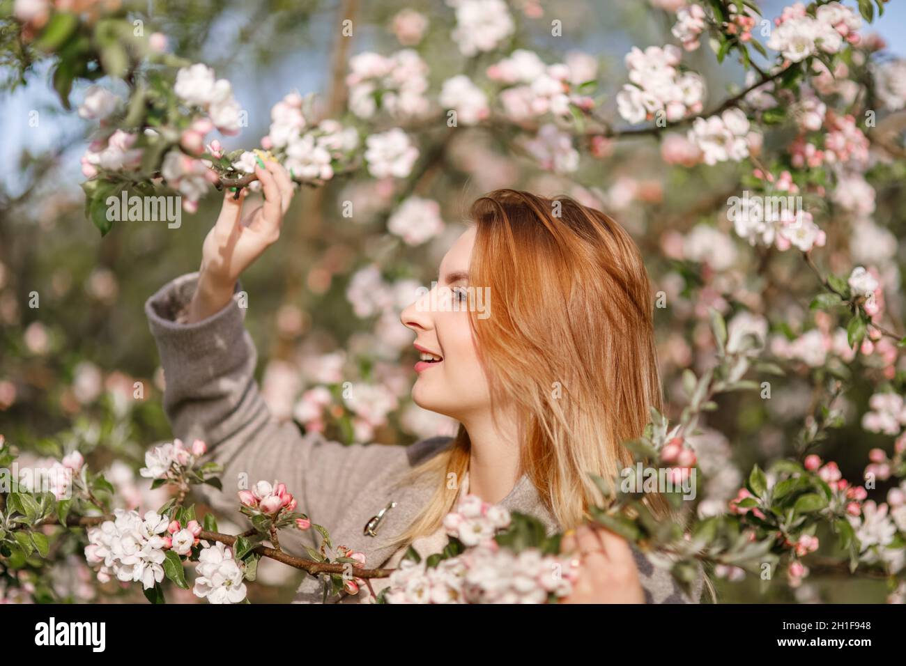 Orchard ecology hi-res stock photography and images - Alamy