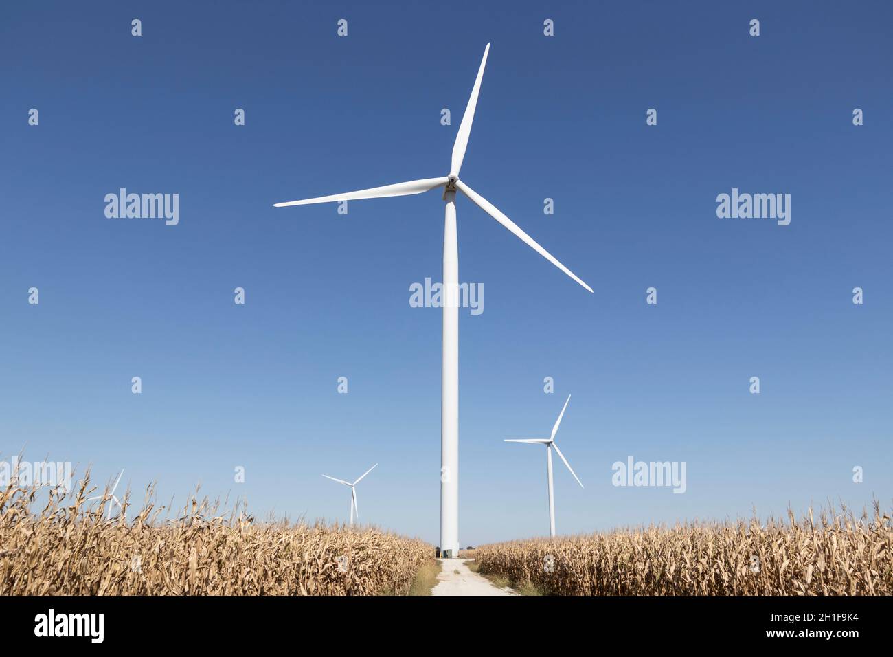 Wind Turbine Farm in Central Indiana. Wind and Solar Green Energy areas ...