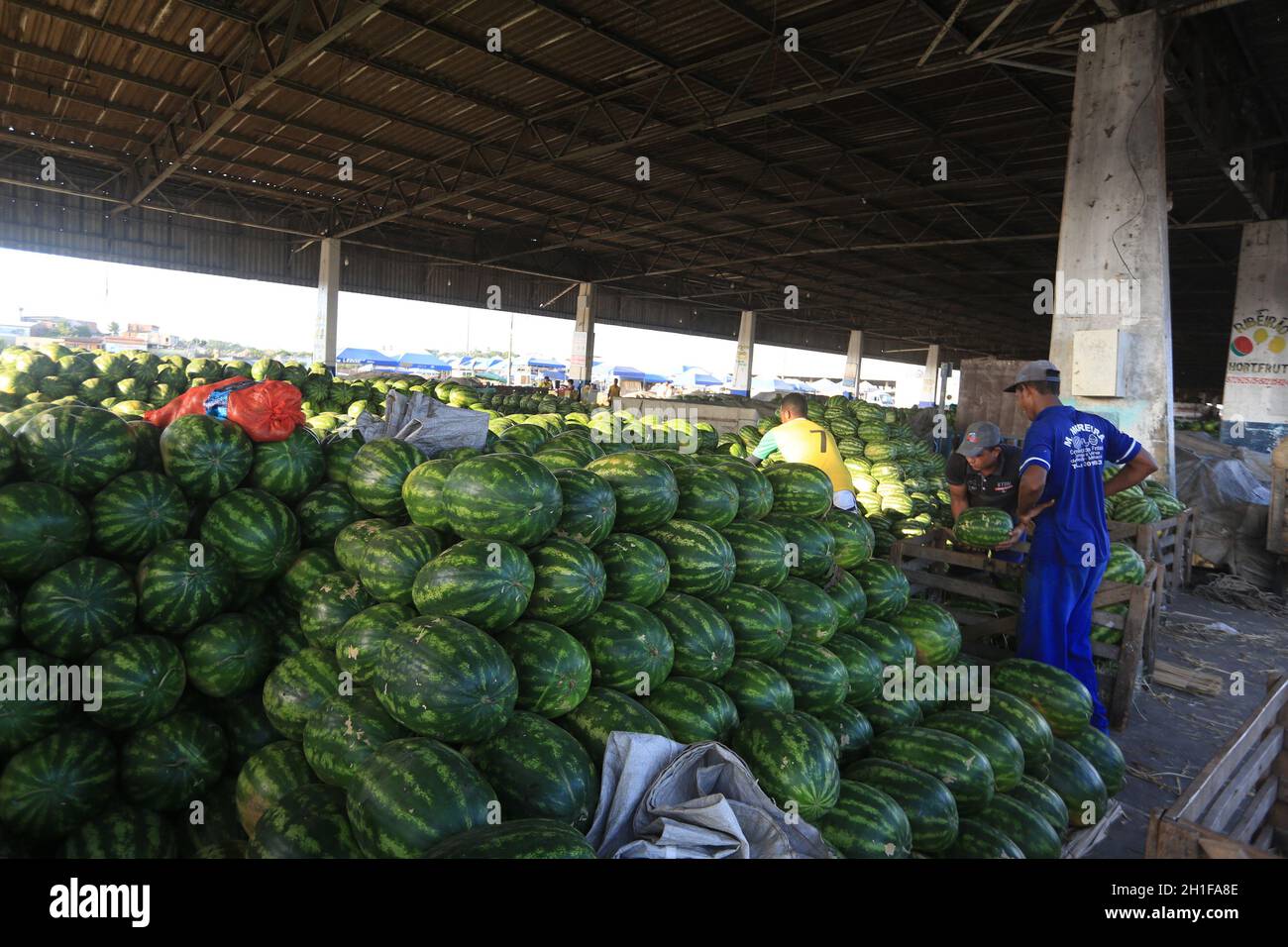 salvador, bahia / brazil - june 8, 2016: sale of watermelon in food ...