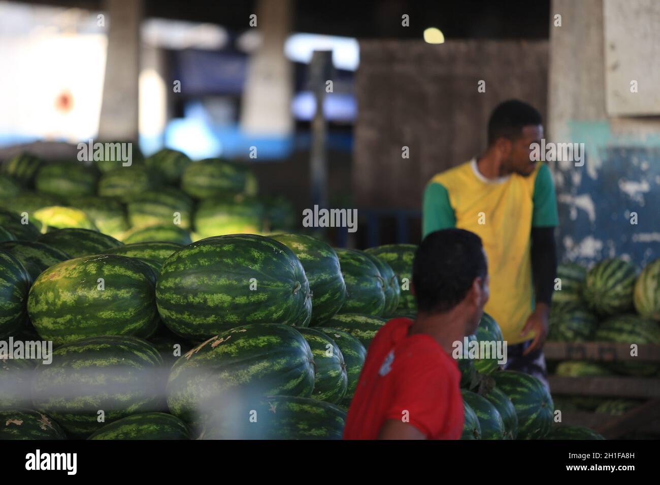 salvador, bahia / brazil - june 8, 2016: sale of watermelon in food ...