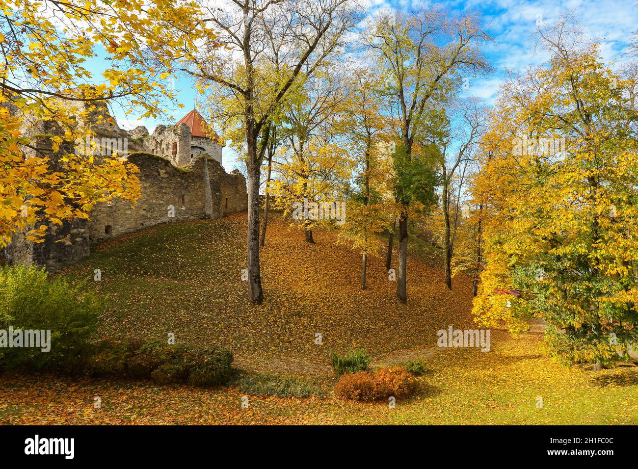Autumn park and abandoned castle in the latvian town Cesis, which has a ...