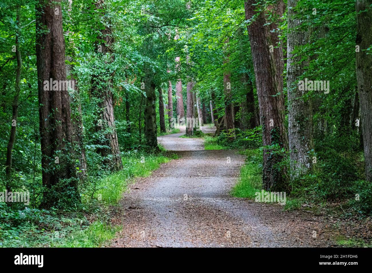 Tarka well hi-res stock photography and images - Alamy