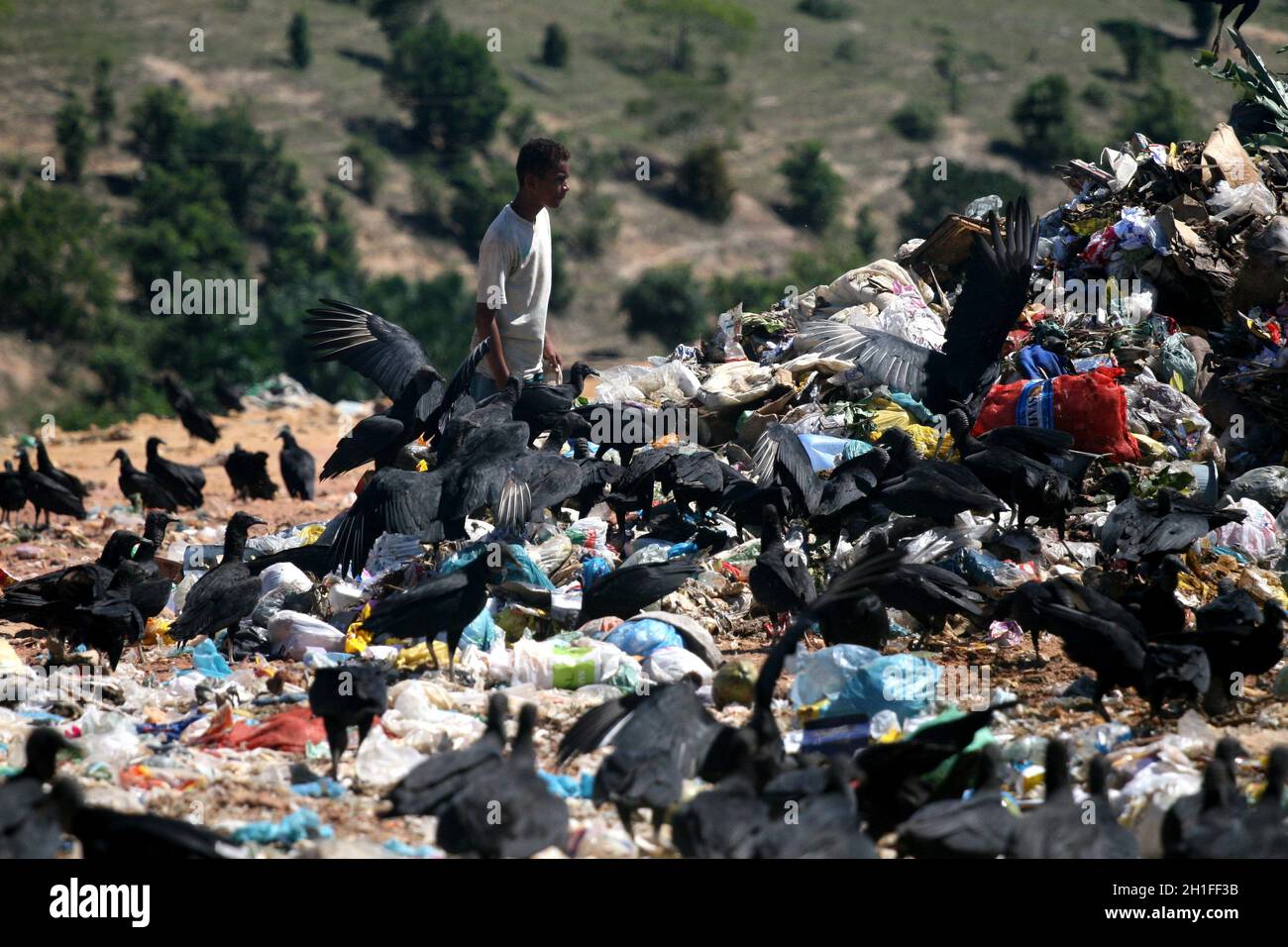 Industrial waste treatment brazil hi-res stock photography and images ...