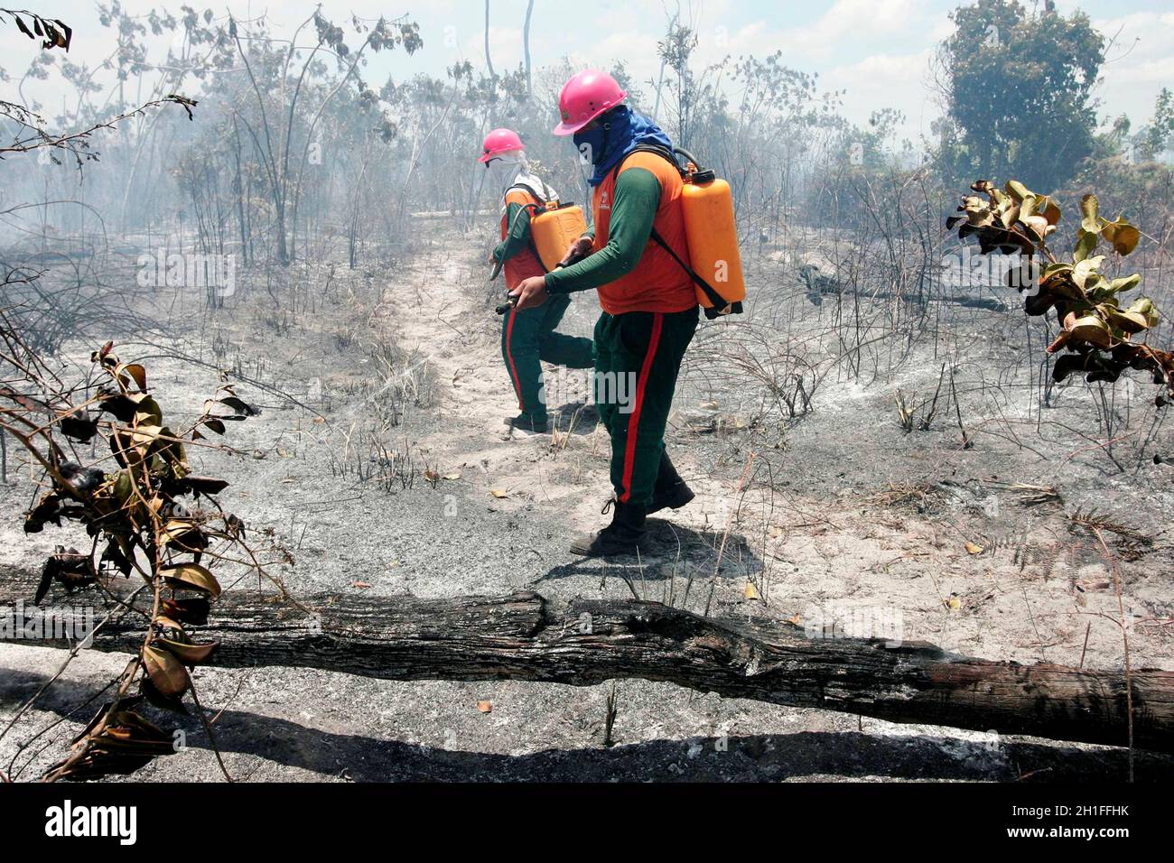 prado, bahia / brazil - december 8, 2009: brigade members fight forest ...