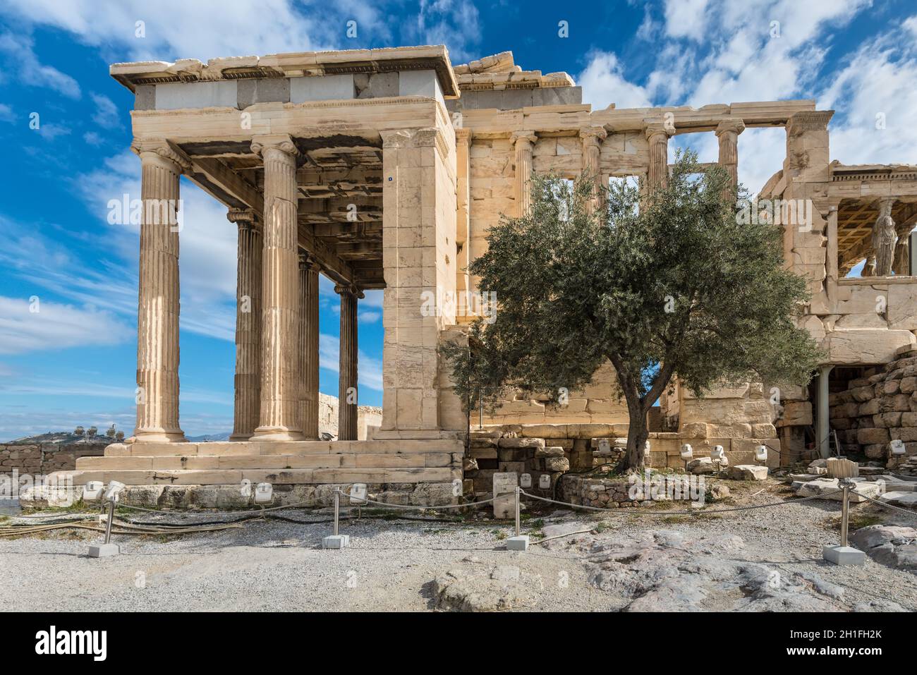 Athens, Greece - November 1, 2017: Athena's olive tree at the ancient ...