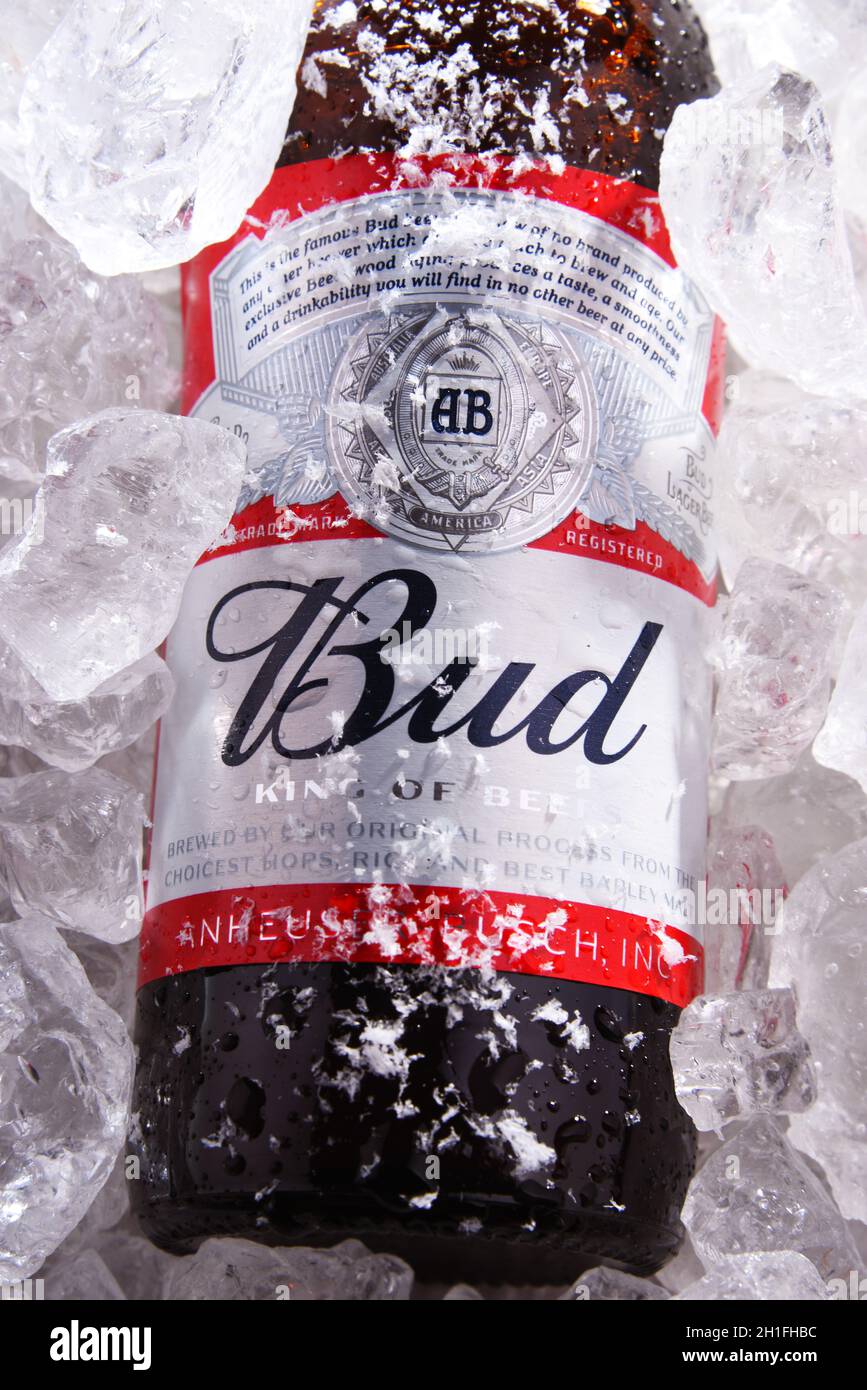 POZNAN, POL - MAY 22, 2020: Bottle of Bud beer, an American-style pale ...