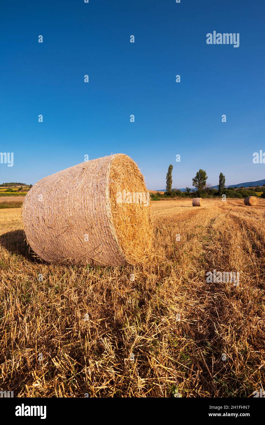 hay bail harvesting in golden field landscape Stock Photo - Alamy