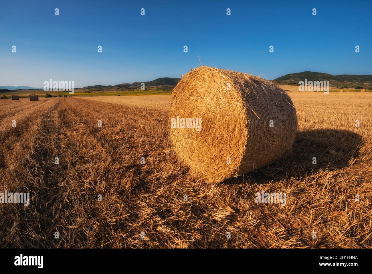 hay bail harvesting in golden field landscape Stock Photo - Alamy