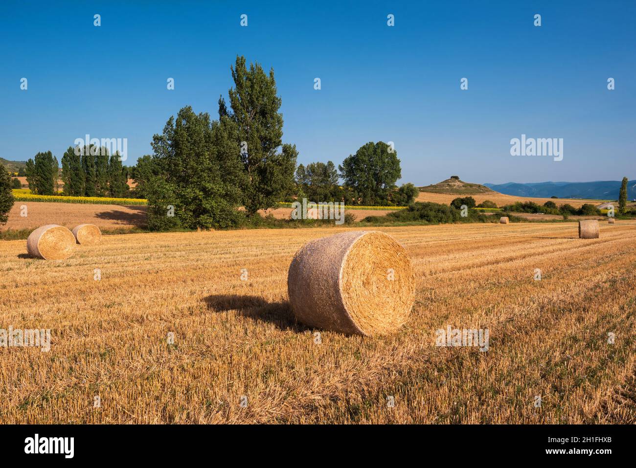 hay bail harvesting in golden field landscape Stock Photo - Alamy