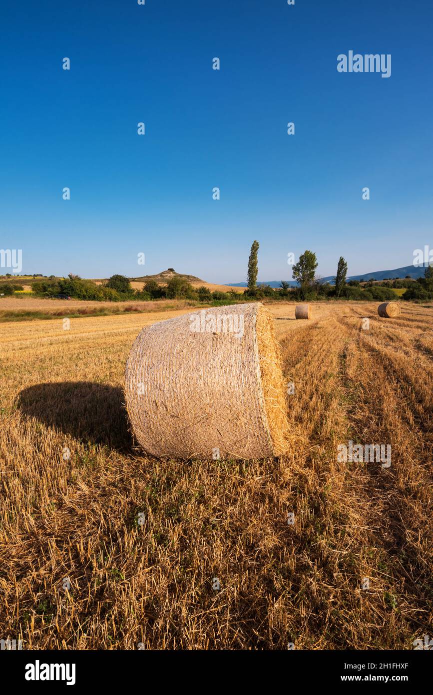 hay bail harvesting in golden field landscape Stock Photo - Alamy