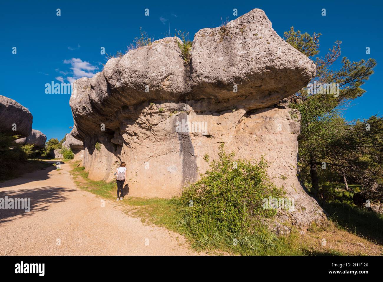 La Ciudad encantada. The enchanted city natural park, group of ...