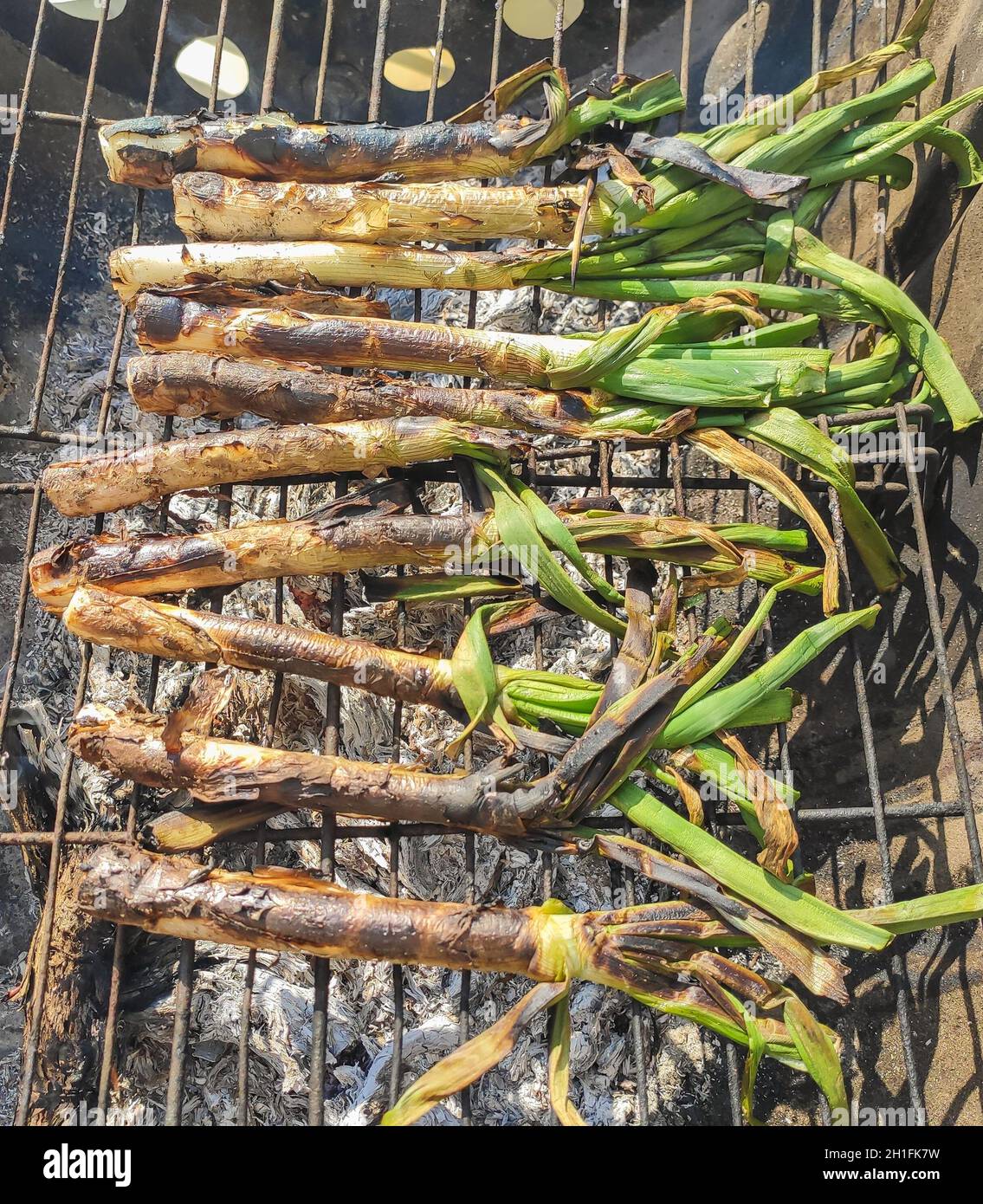 Calcot onion farming spain hi-res stock photography and images - Alamy