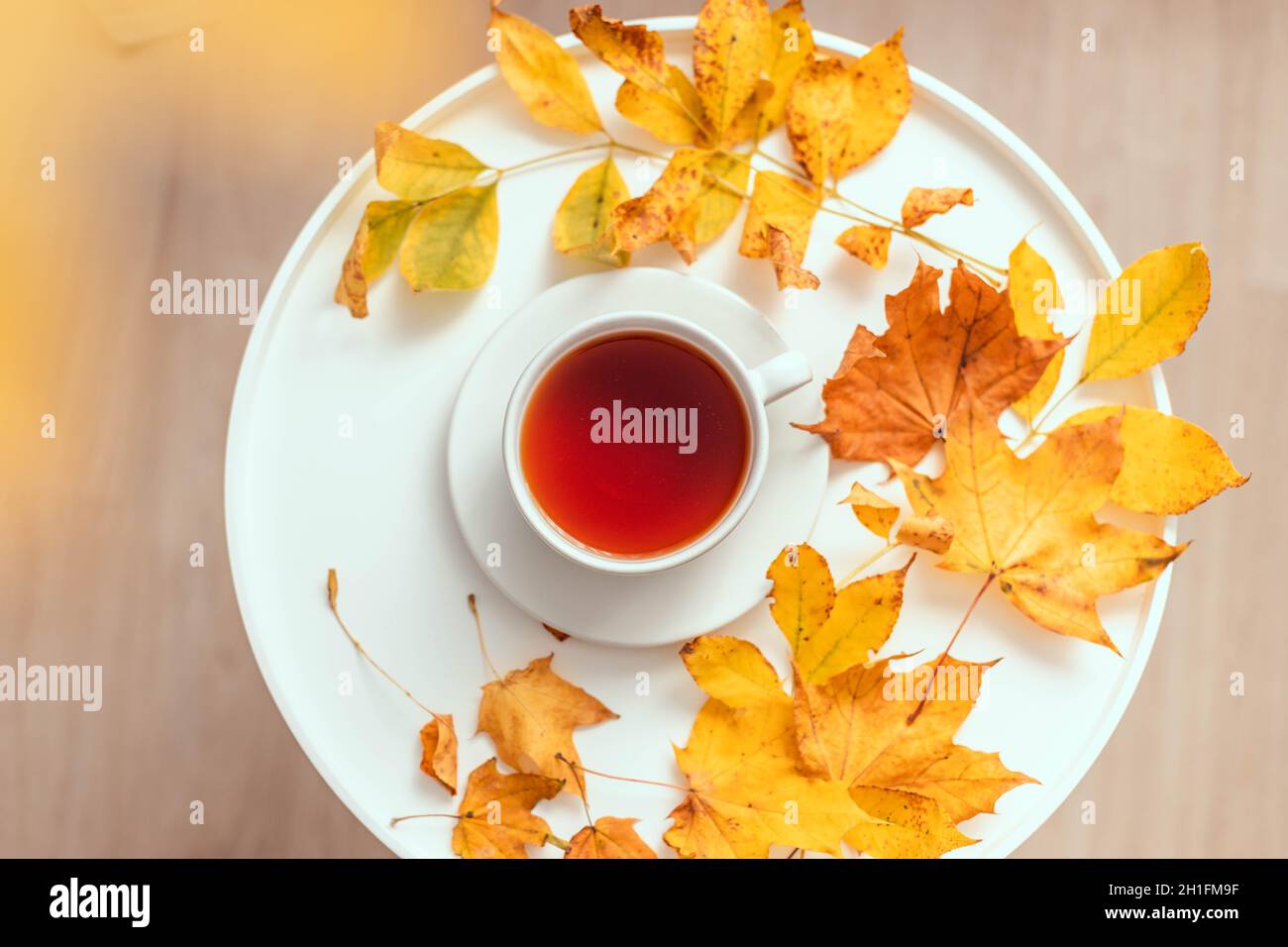 Fragrant black tea cup on white coffee table, fallen yellow maple ...