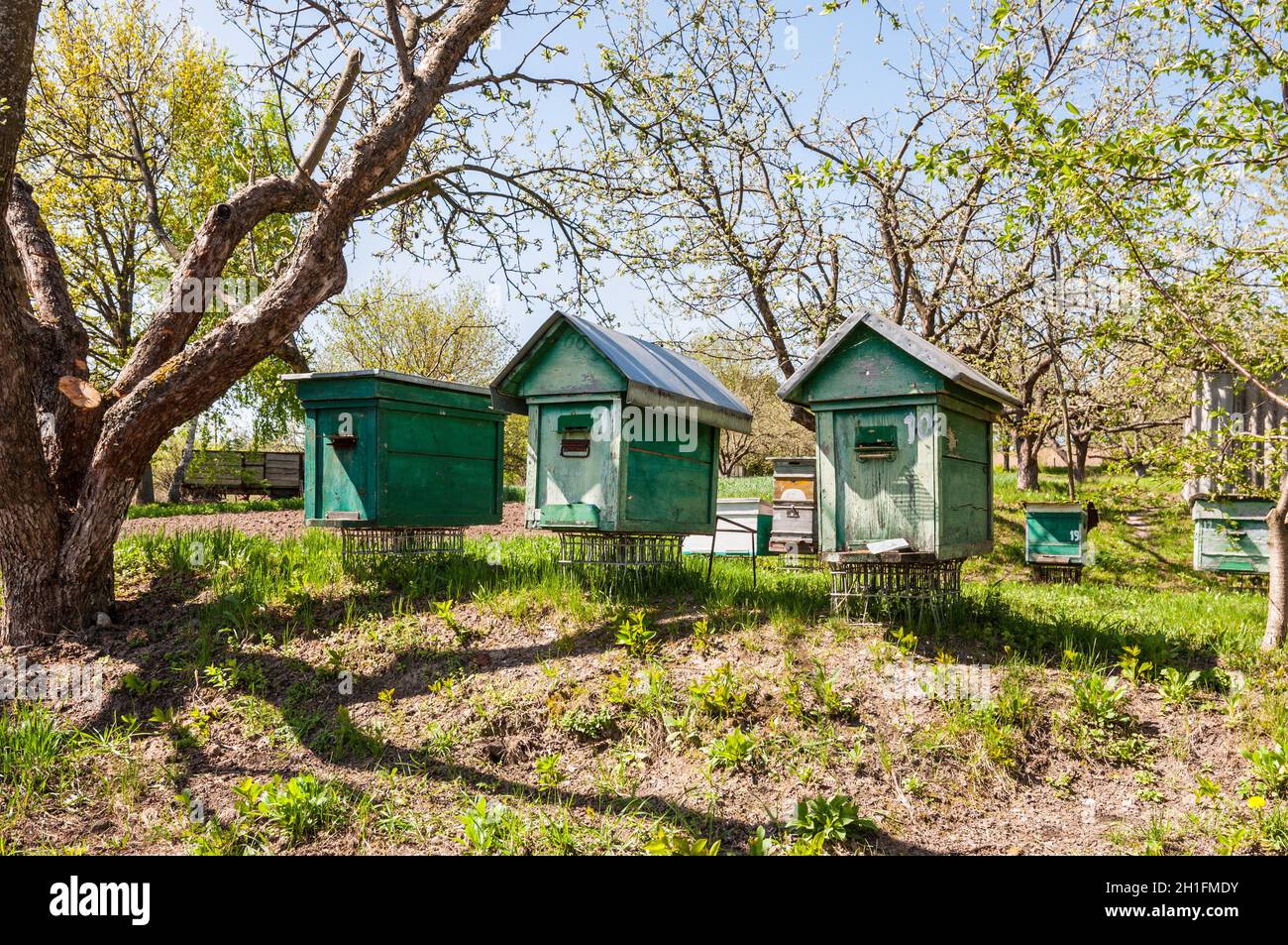 Ulyany, Kyiv region, Ukraine - May 2, 2013: Green beehive with bees at ...