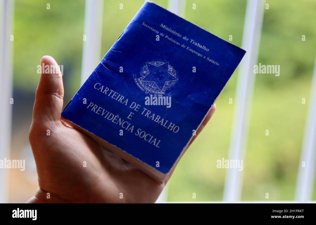 salvador, bahia / brazil - june 12, 2020: brazilian work permit is seen ...