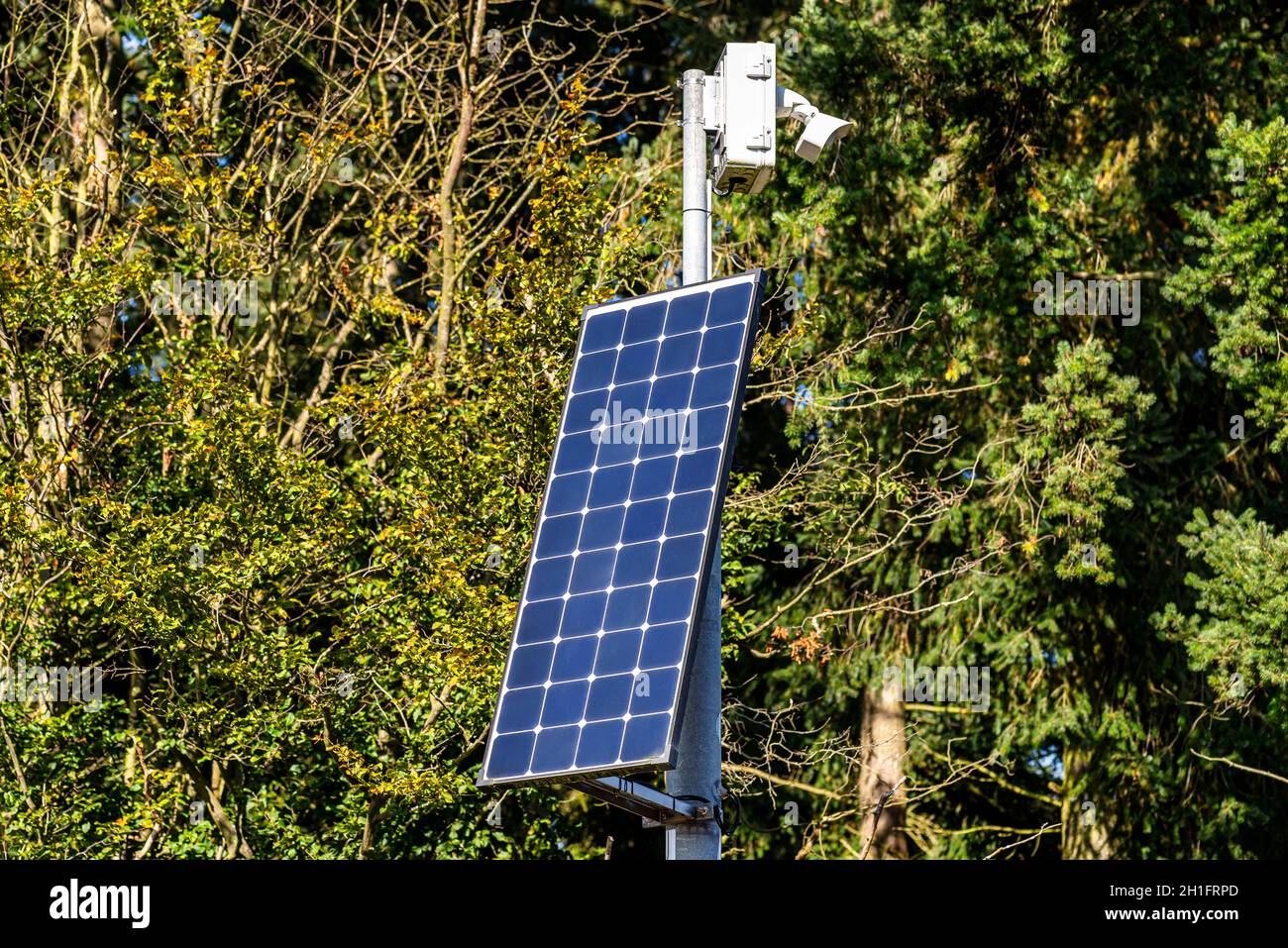 A monitoring system in a dense forest powered by solar energy from a ...
