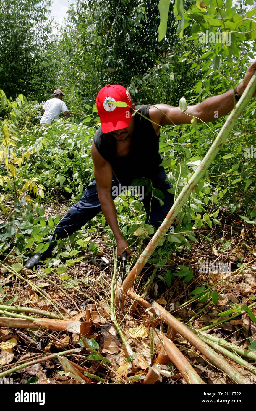 Mst flag hi-res stock photography and images - Alamy