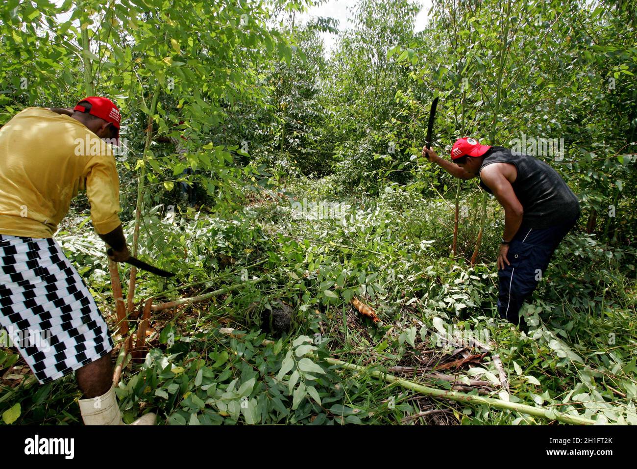 Mst flag hi-res stock photography and images - Alamy