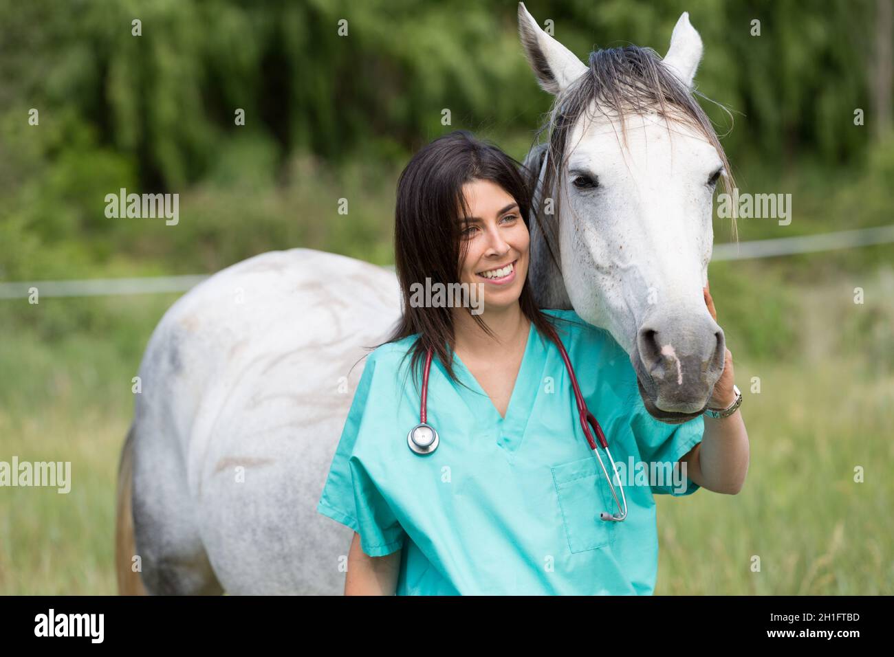 Endoscope a horse hi-res stock photography and images - Alamy