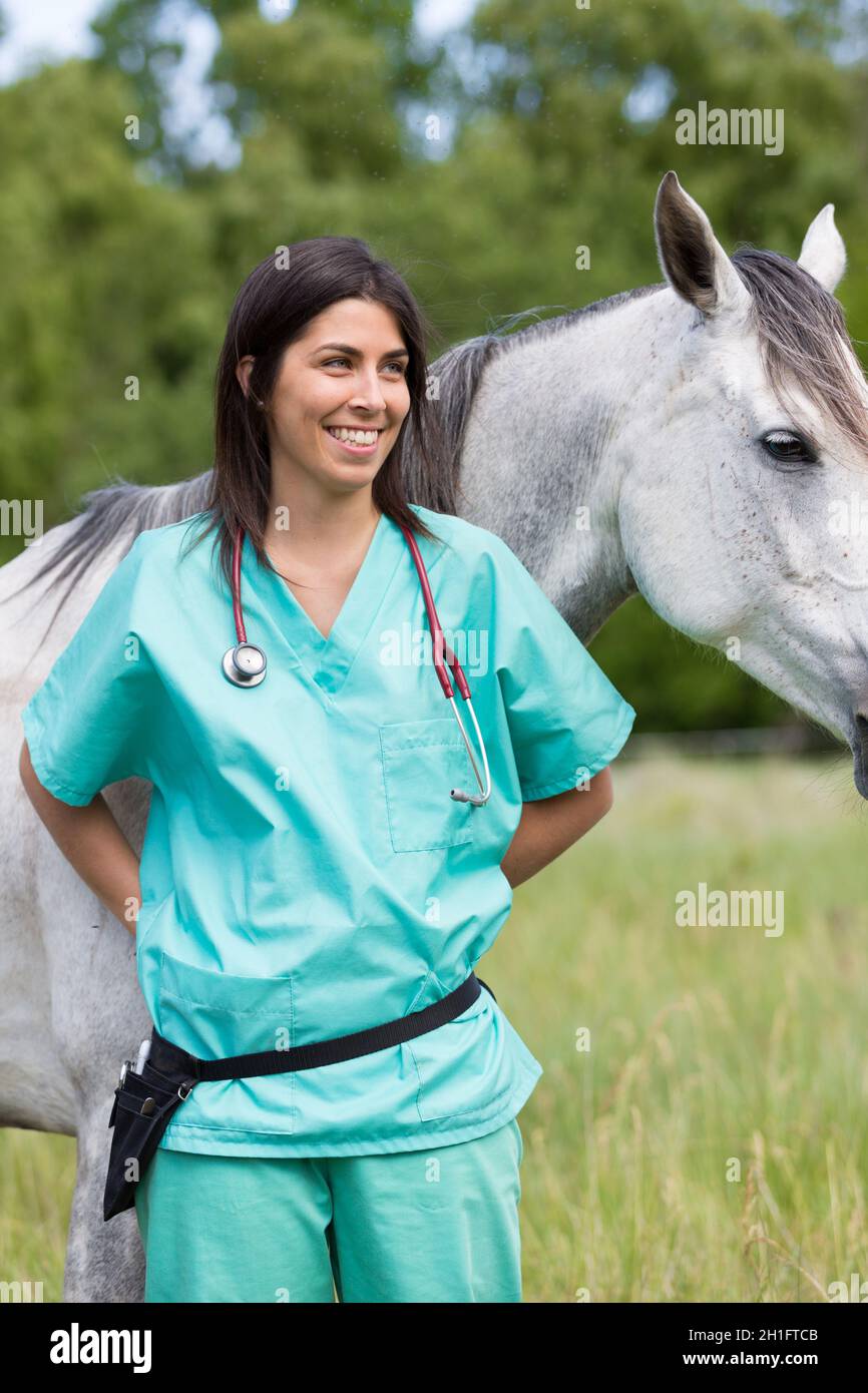 Endoscope horse hi-res stock photography and images - Alamy