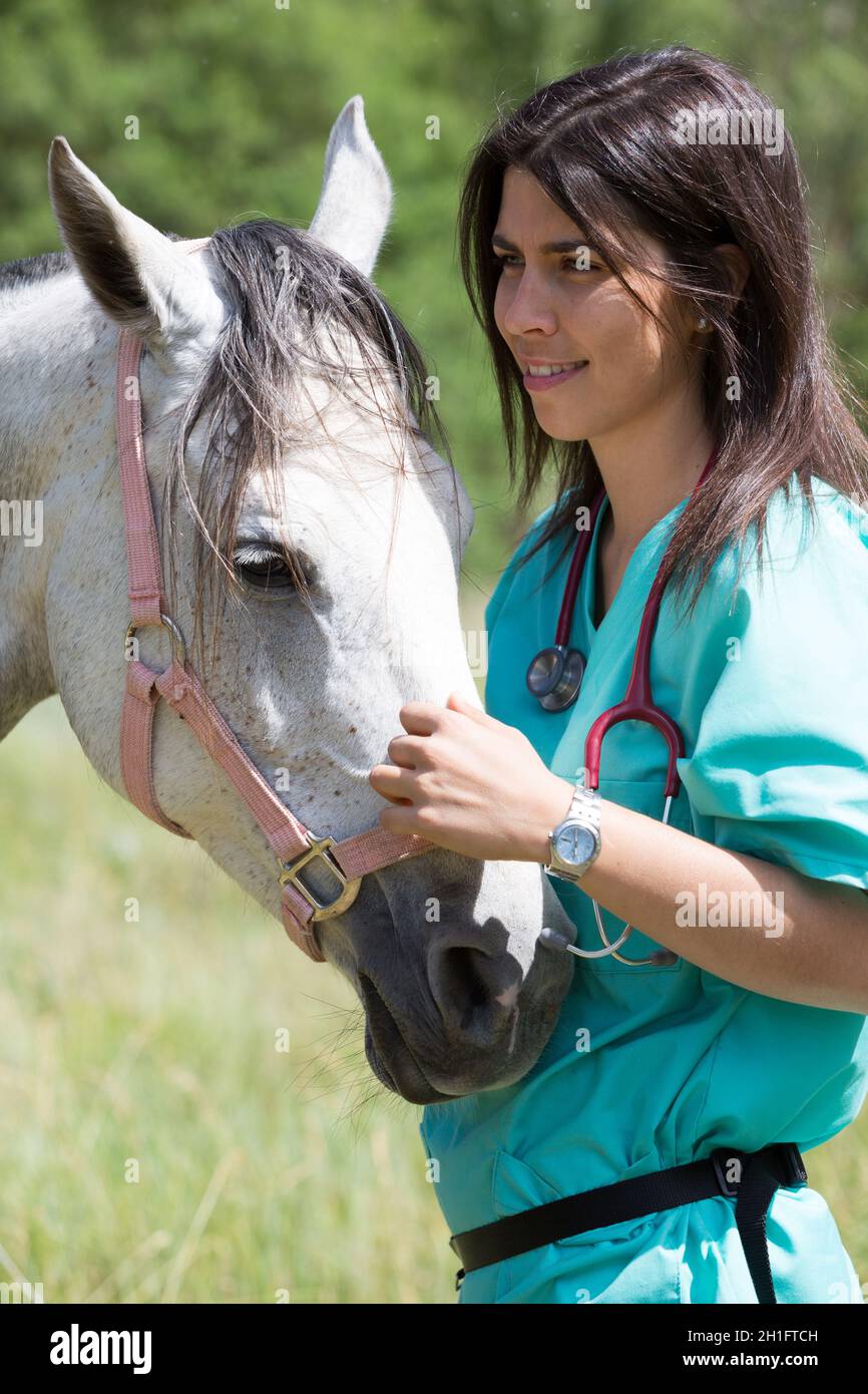 Endoscope horse hi-res stock photography and images - Alamy