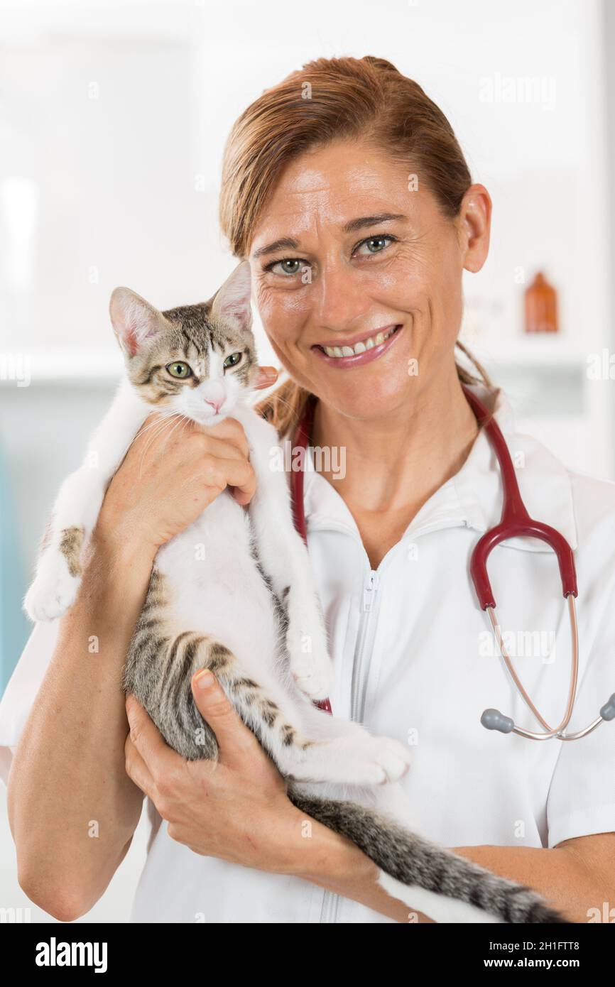 Veterinary hugging a cat and reassuring for review Stock Photo - Alamy
