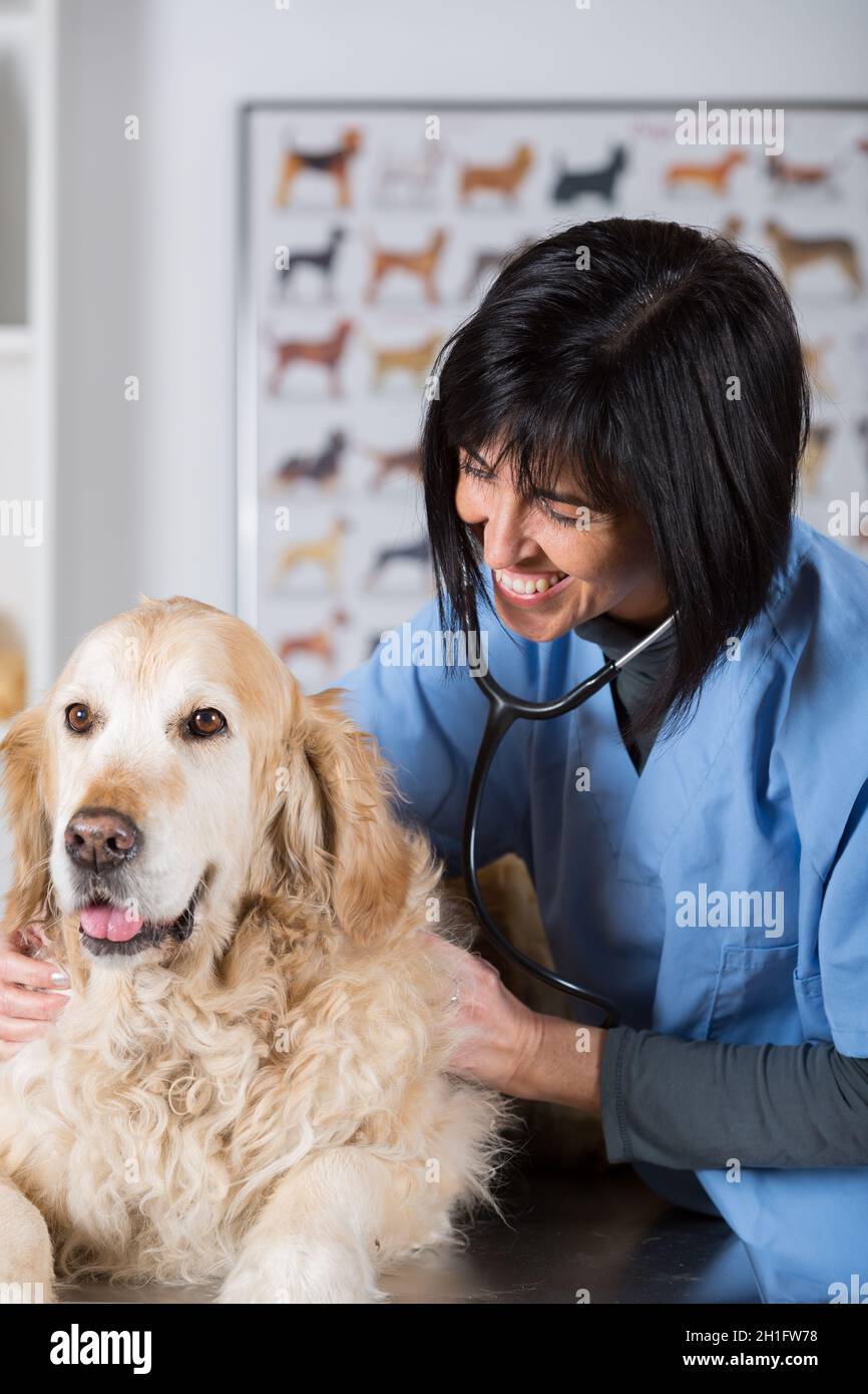 Clinical inspection hi-res stock photography and images - Alamy