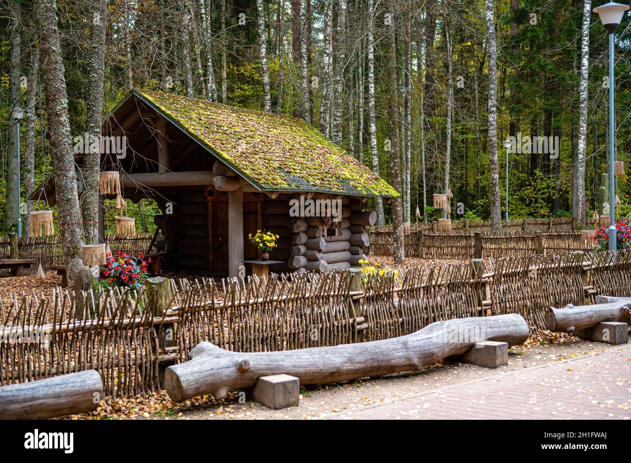 little mystic wooden log house in the autumn forest, Tervete, Latvia ...