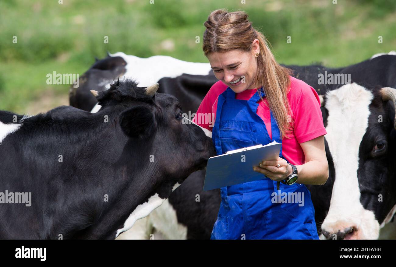 Female vet in field cattle hi-res stock photography and images - Alamy