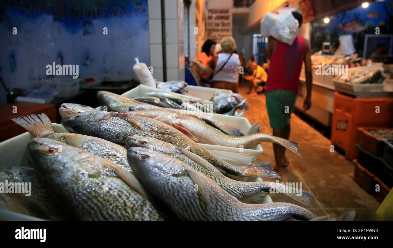 Brazil fish pollution hi-res stock photography and images - Alamy
