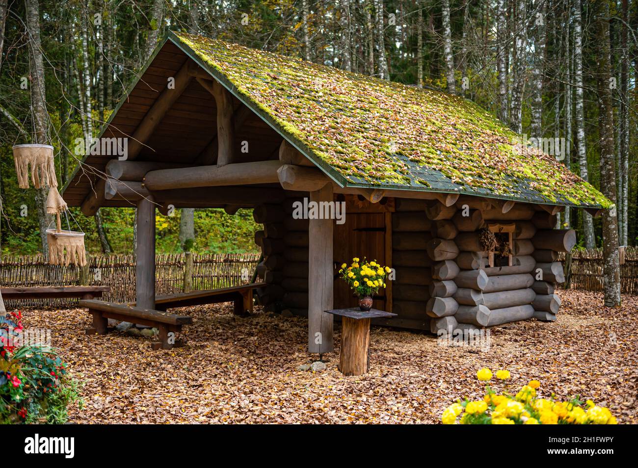 Tervete hi-res stock photography and images - Alamy