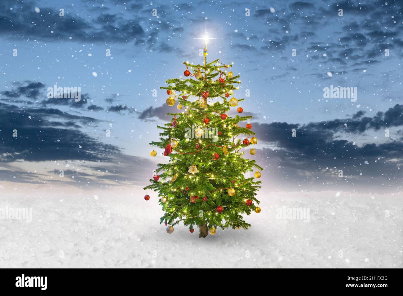 illuminated star on a christmas tree with snow falling Stock Photo - Alamy