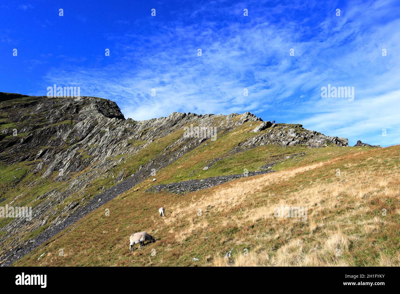 View of Sharp Edge on Blencathra fell, Lake District National Park ...