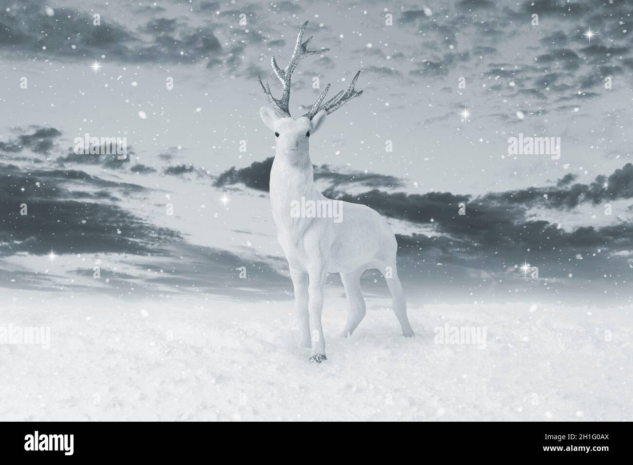 Snow falling on a White Christmas Reindeer Stock Photo - Alamy