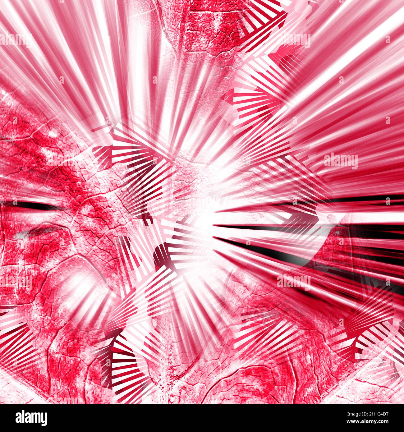 textile fabric print designs, fashion dress patterns Stock Photo - Alamy