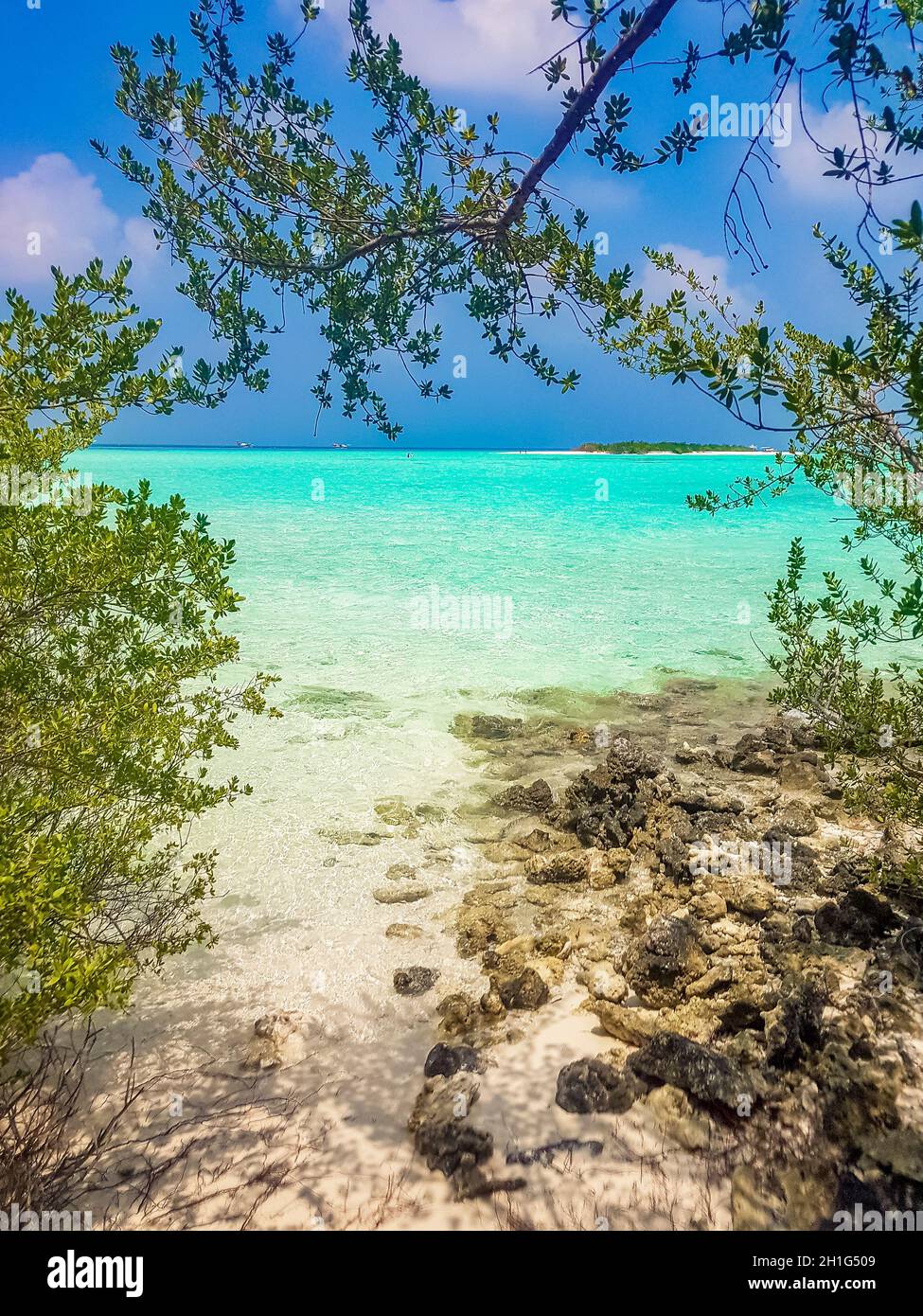 Natural tropical sandbank islands with color gradient in the water ...
