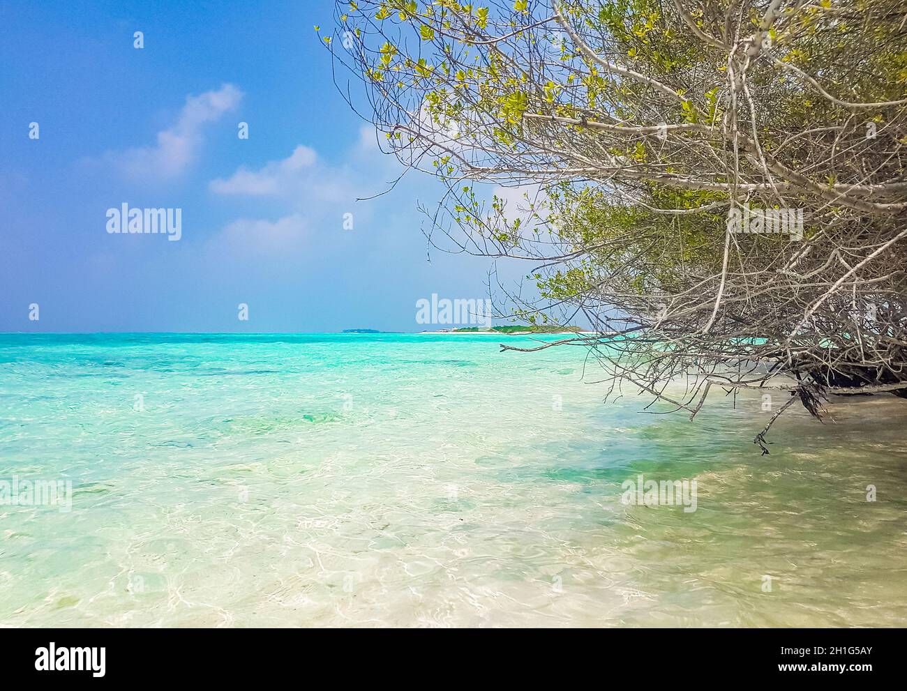 Natural tropical sandbank islands with color gradient in the water ...