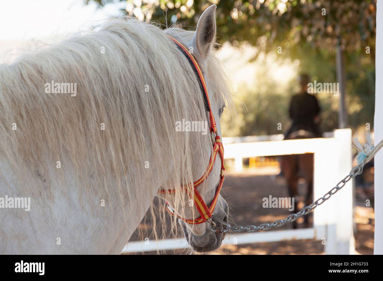 Chained to a wall hi-res stock photography and images - Alamy