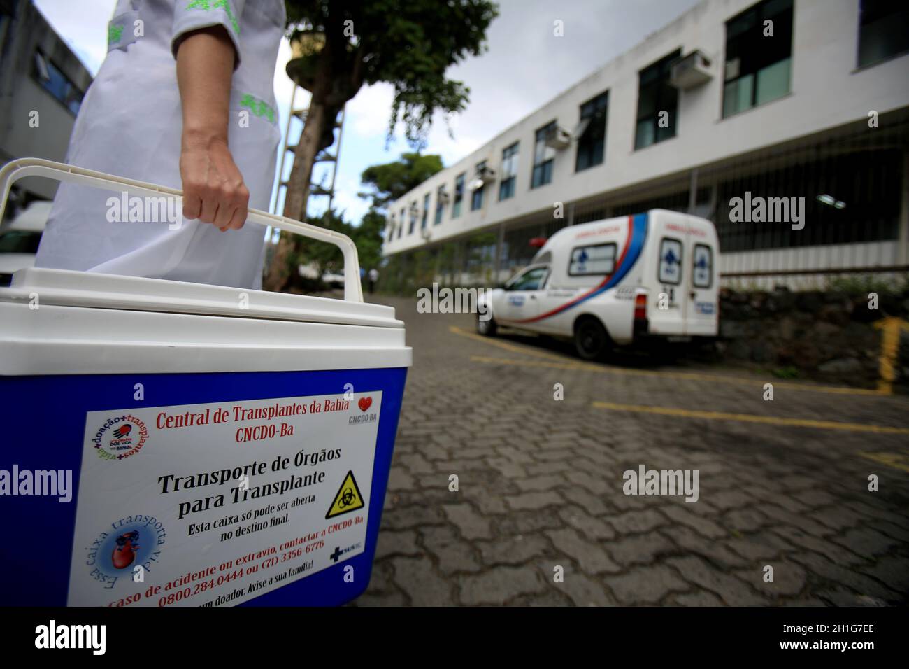 Transporting organs hi-res stock photography and images - Alamy