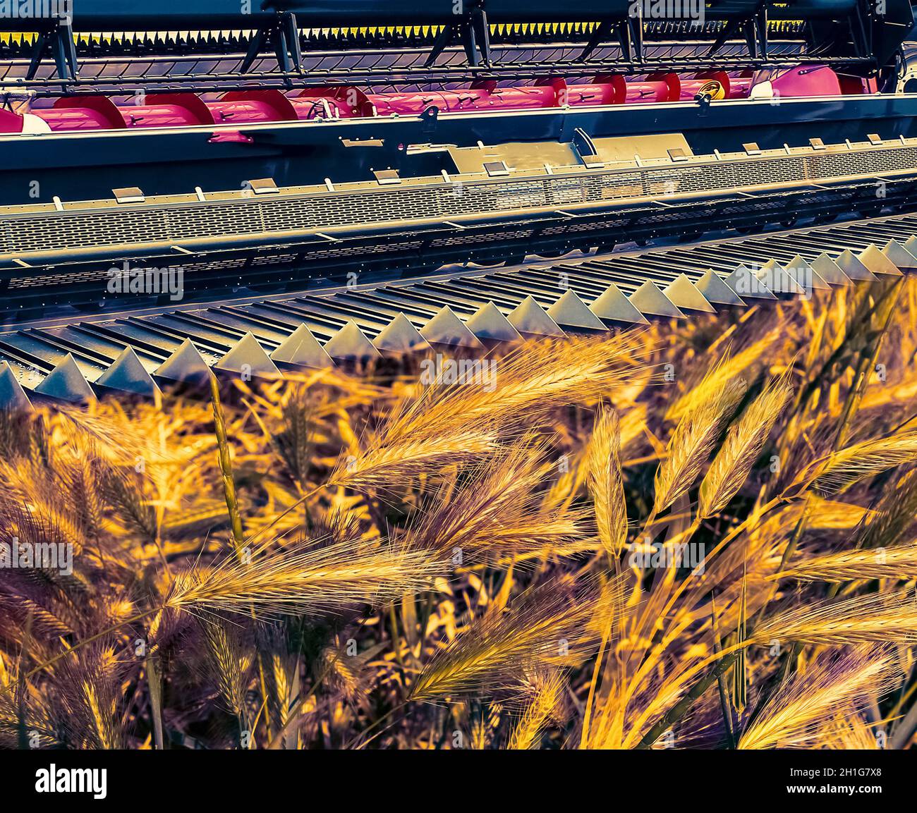 Modern combines at field. The agriculture, farming concept Stock Photo ...